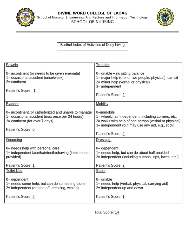 Barthel Index of Activities of Daily Living | PDF | Urinary Incontinence
