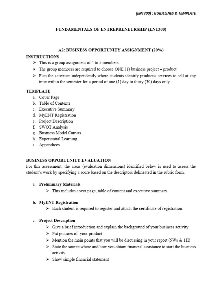 ENT300_GUIDELINES | PDF | Rubric (Academic) | Swot Analysis
