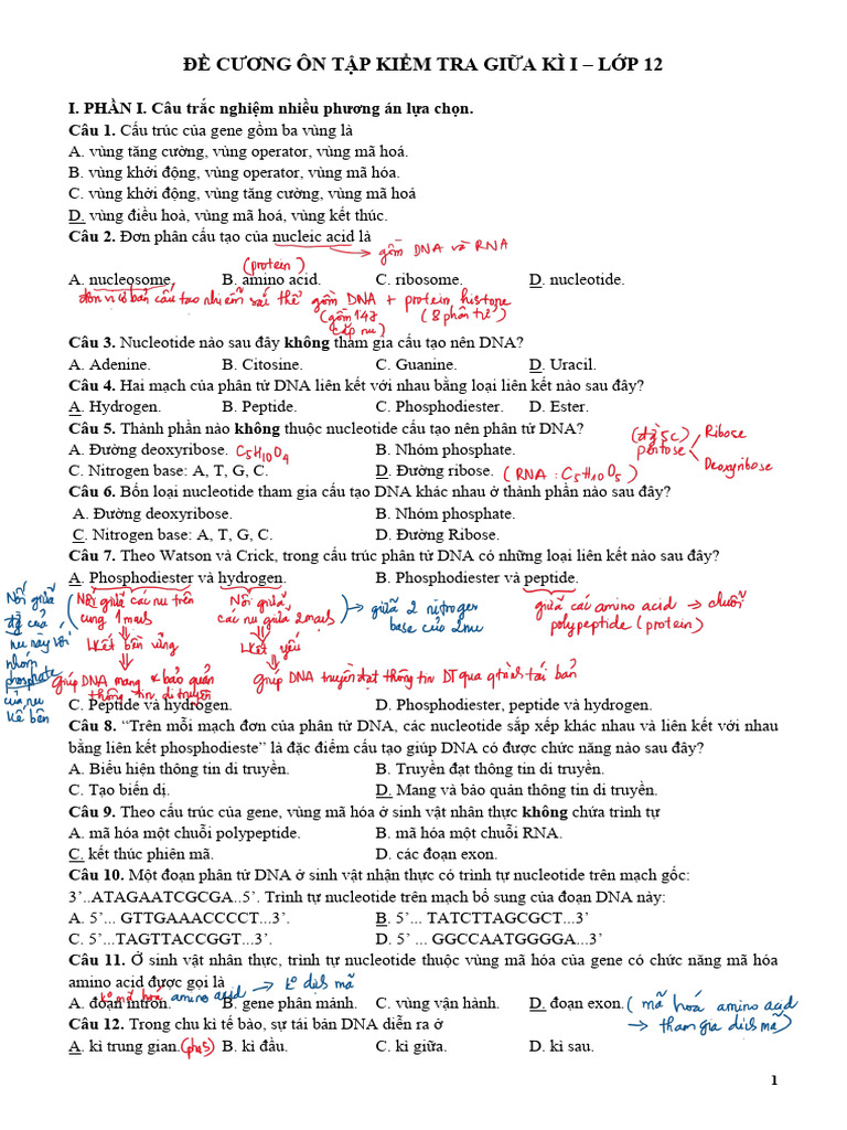 ĐỀ CƯƠNG KTGK 1 - 12 | PDF