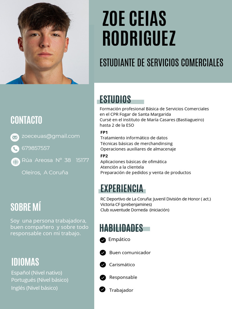 Currículum A4 Profesional Serio Moderno Formal Elegante Minimalista ...