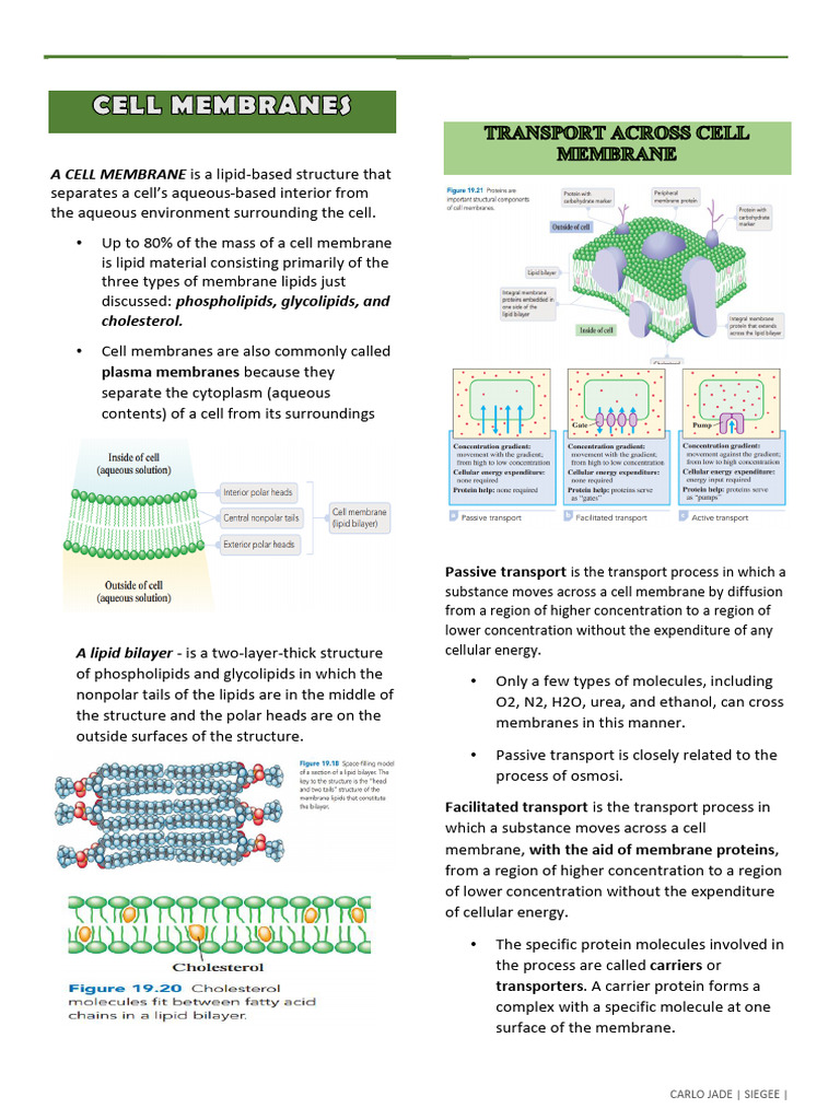 Biochem Midterms | PDF | Cholesterol | Cell Membrane