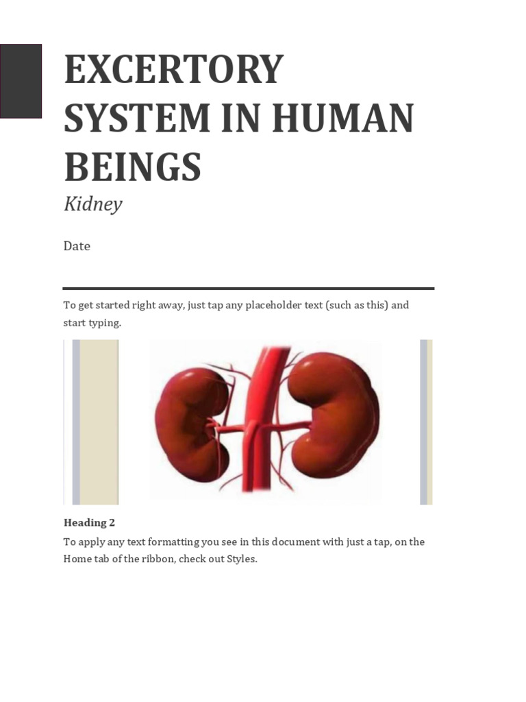 X Life-Processes Excretion Module 1 of 3 | PDF