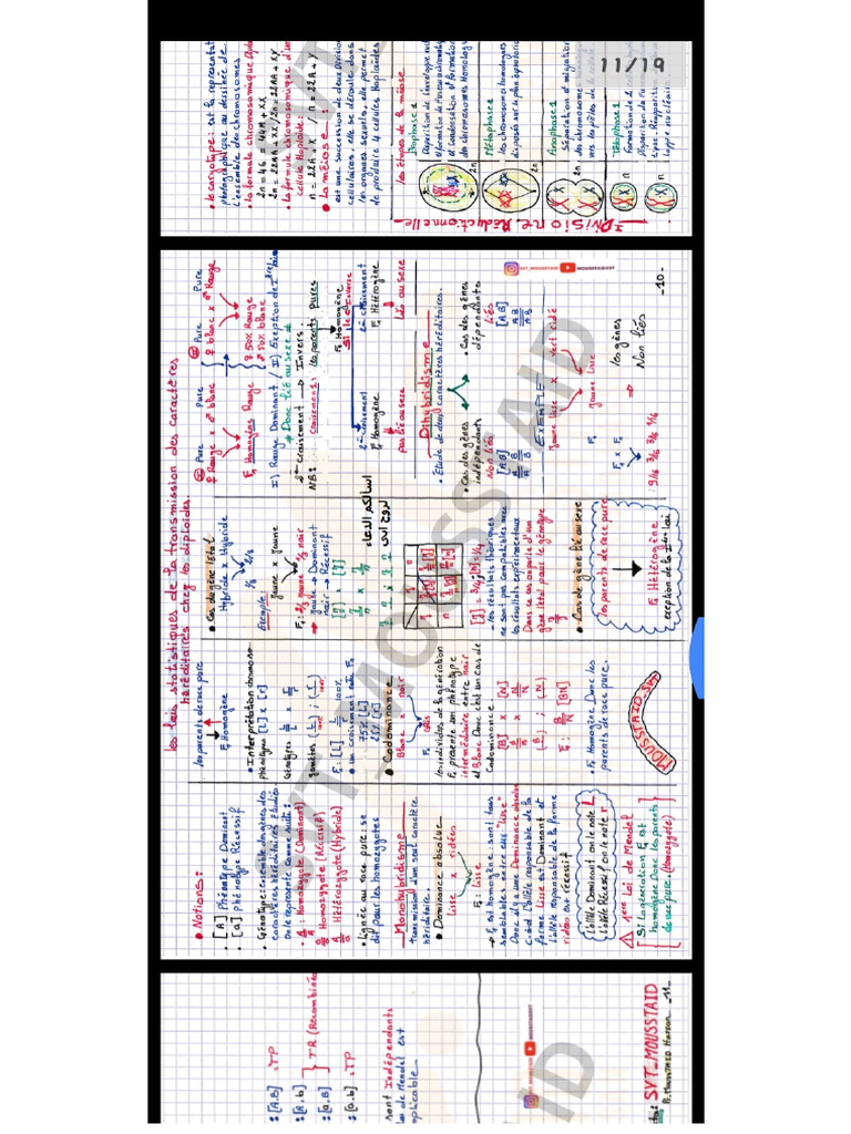 PDF - 20241121 - 105253 | PDF