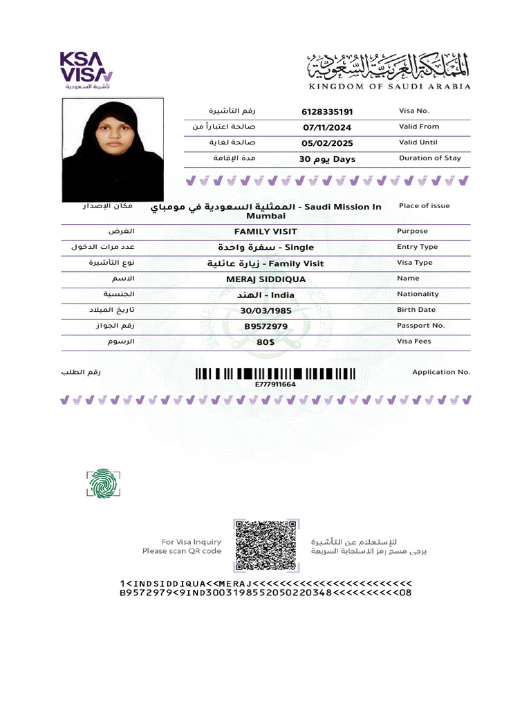 Visa Platform NEW | PDF