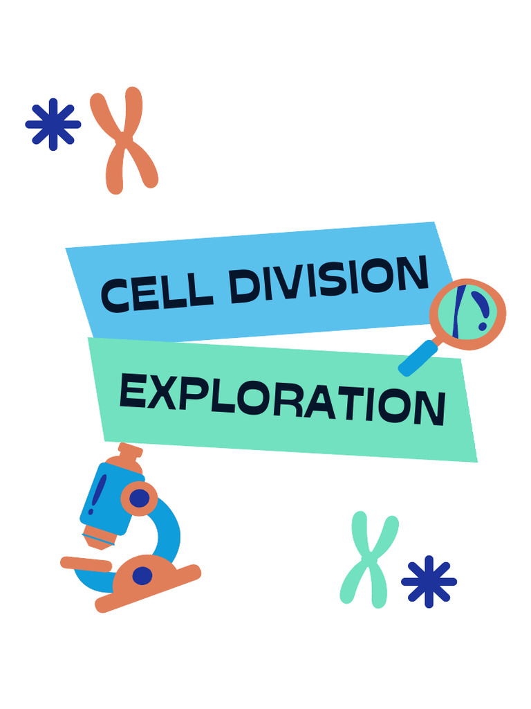 Cell Division (1) | PDF | Meiosis | Mitosis