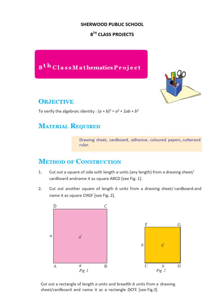 Class VIII Assignment - Project Work | PDF | Area | Rectangle