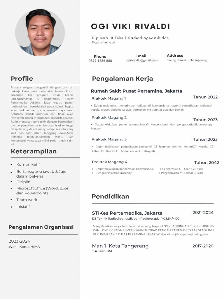 Professional Modern CV Resume | PDF