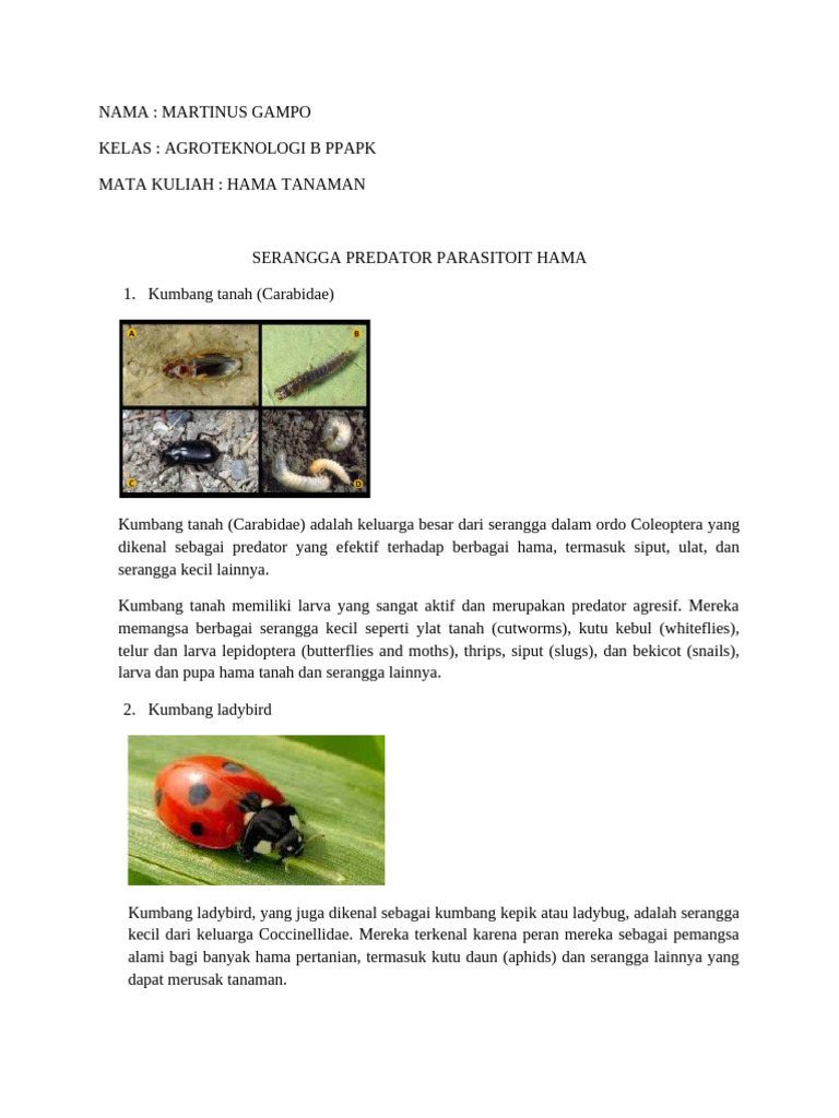 Nama Serangga Predator | PDF