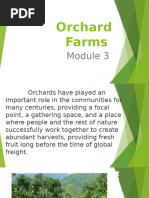 Module-Types of Orchard Farms | PDF | Orchard | Trees