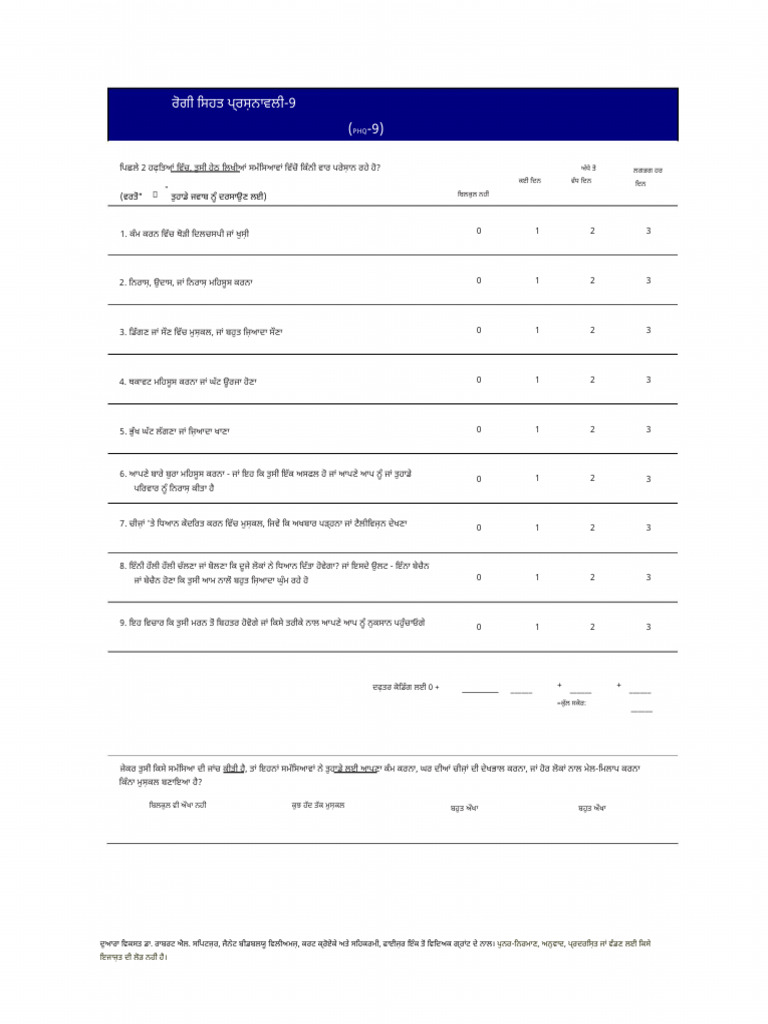 PHQ9 Patient Health Questionnaire (Punjabi) | PDF