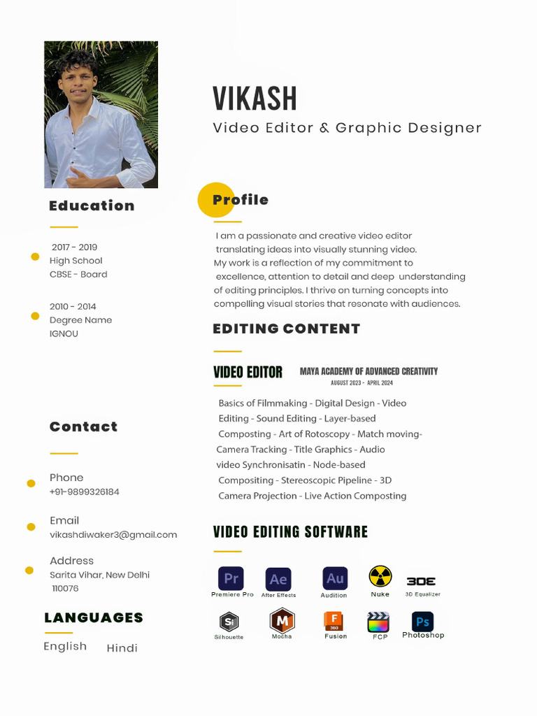Vikash Portfolio | PDF