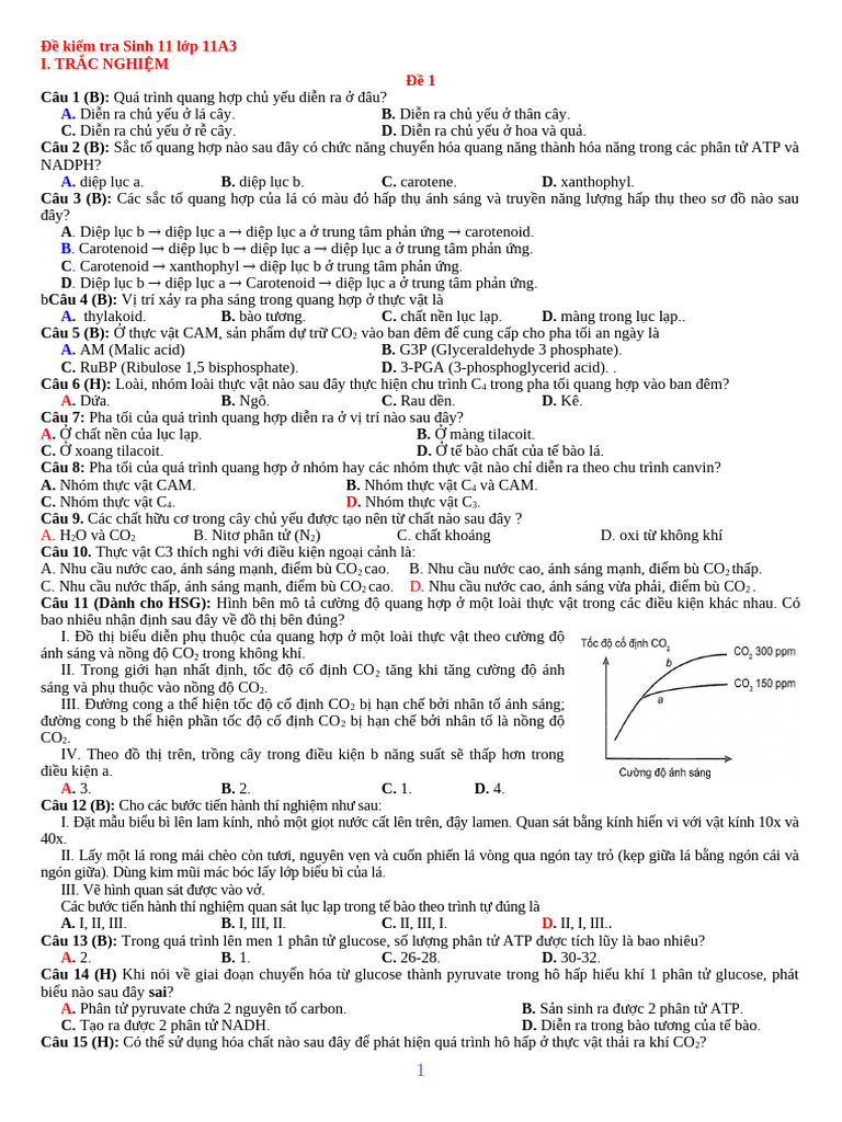 ĐỀ KIỂM TRA HK1 Sinh 11 11A3 | PDF