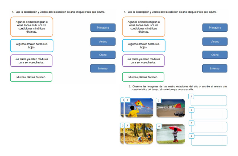Ciencias Estaciones Del Año | PDF