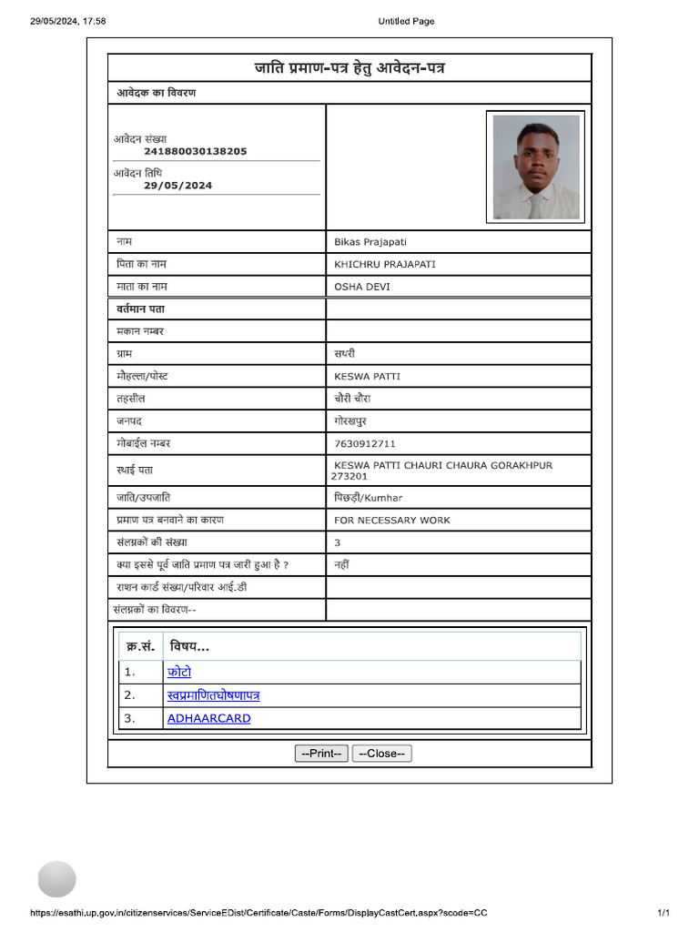 P | PDF