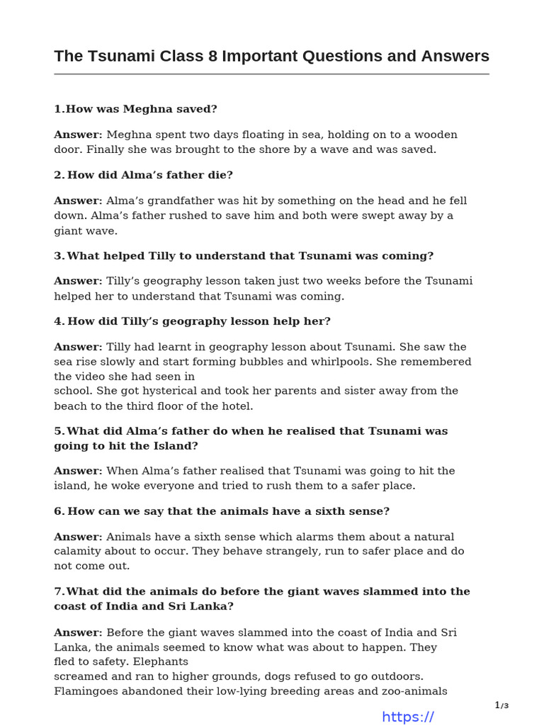 Class 8 English Chapter 2 Important Questions Honeydew | PDF | Tsunami