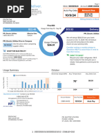 Sample PSEG Bill | PDF