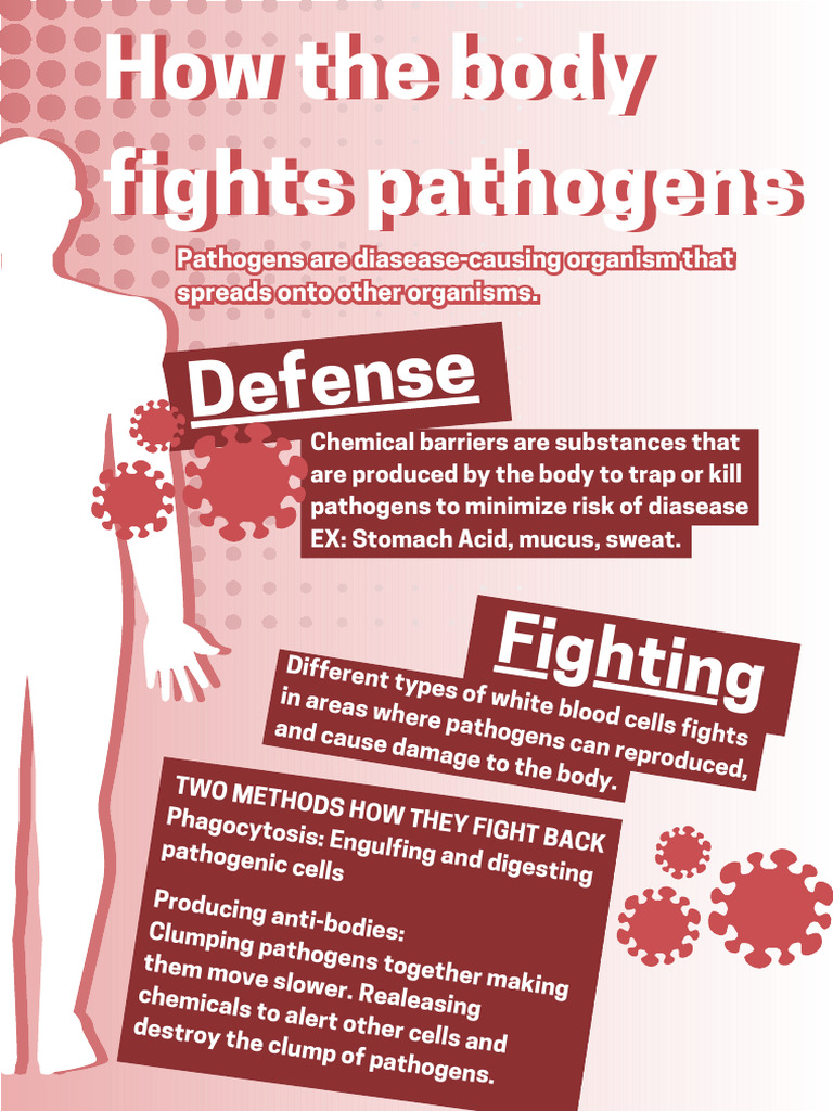 How The Body Fights Pathogens | PDF