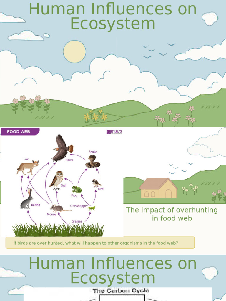 Human Influences on Ecosystem.pptx | PDF