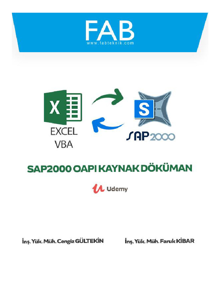 Sap2000 OAPI Kaynak Döküman | PDF