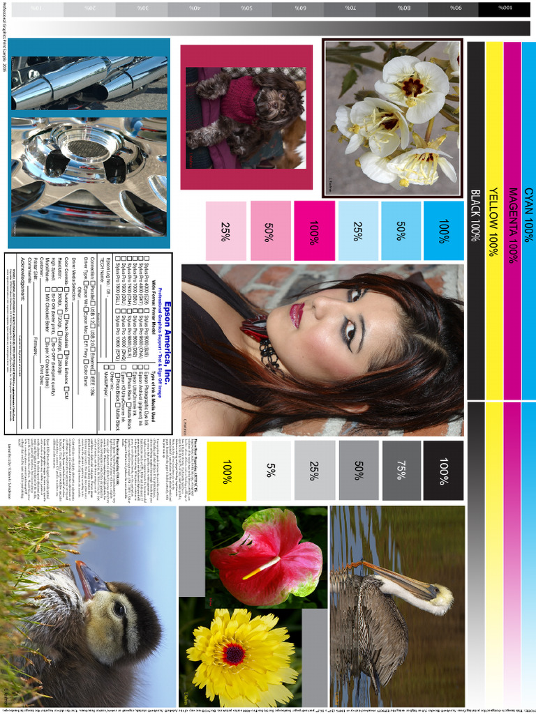 PGG - Print Sample DUPLEX - 093005 | PDF