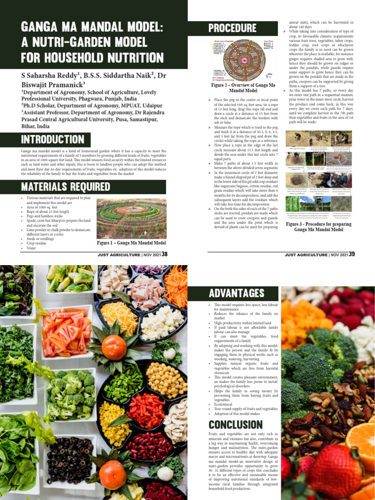 Ganga Ma Mandal: Nutri-Garden Model | PDF | Vegetables | Crops
