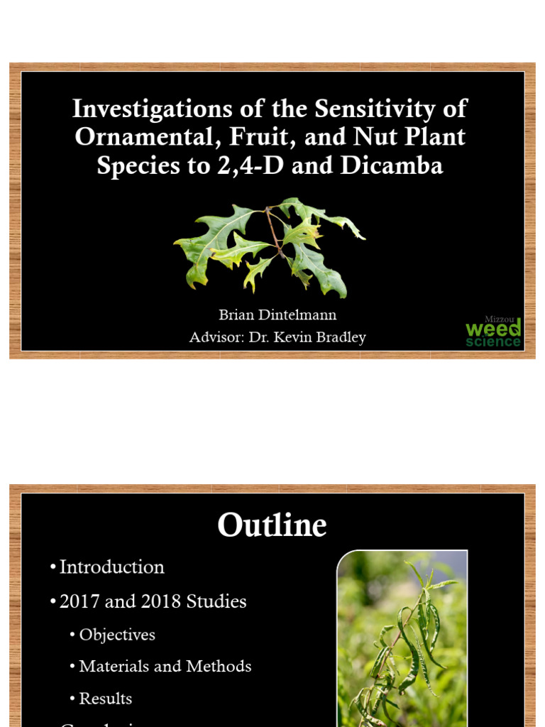 2.4-D and Dicamba Damage Investigation | PDF | Herbicide | Agriculture