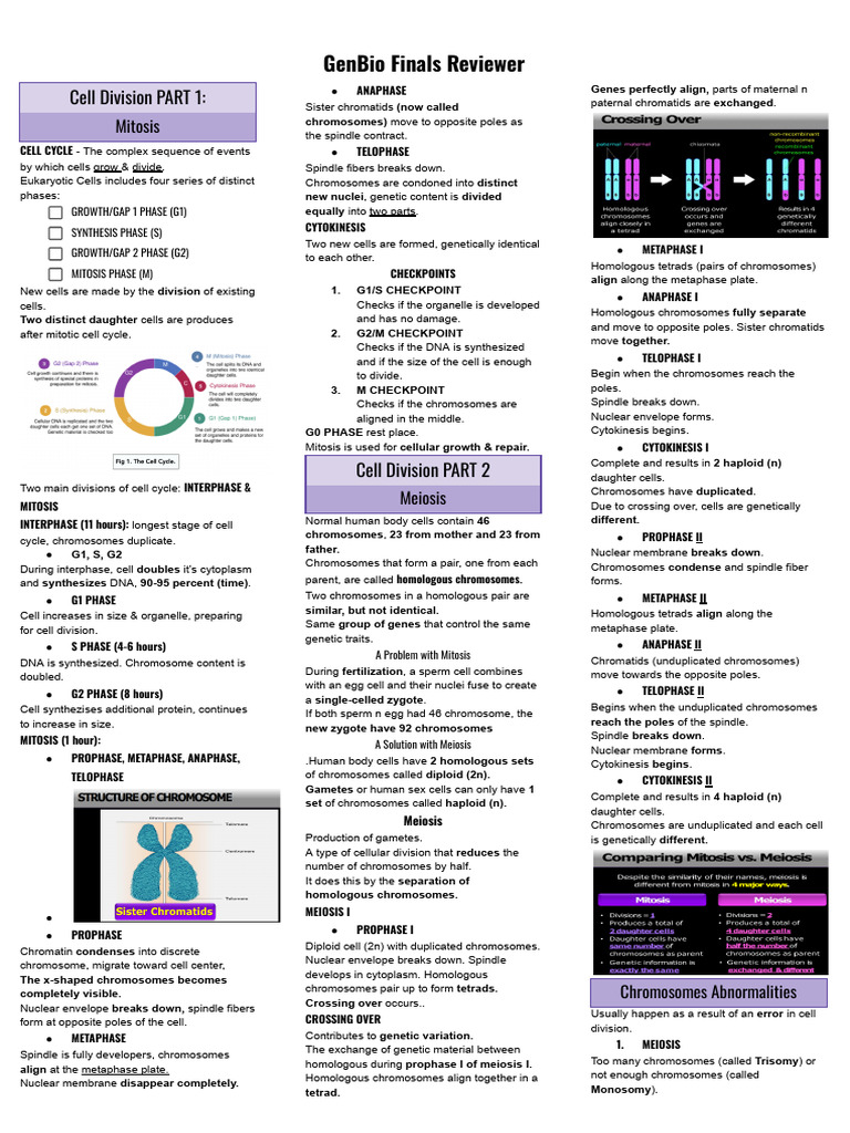Genbio Finals Reviewer | PDF | Meiosis | Mitosis