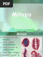 Mitosis Mover Webquest Bioman PDF | PDF | Mitosis | Chromosome