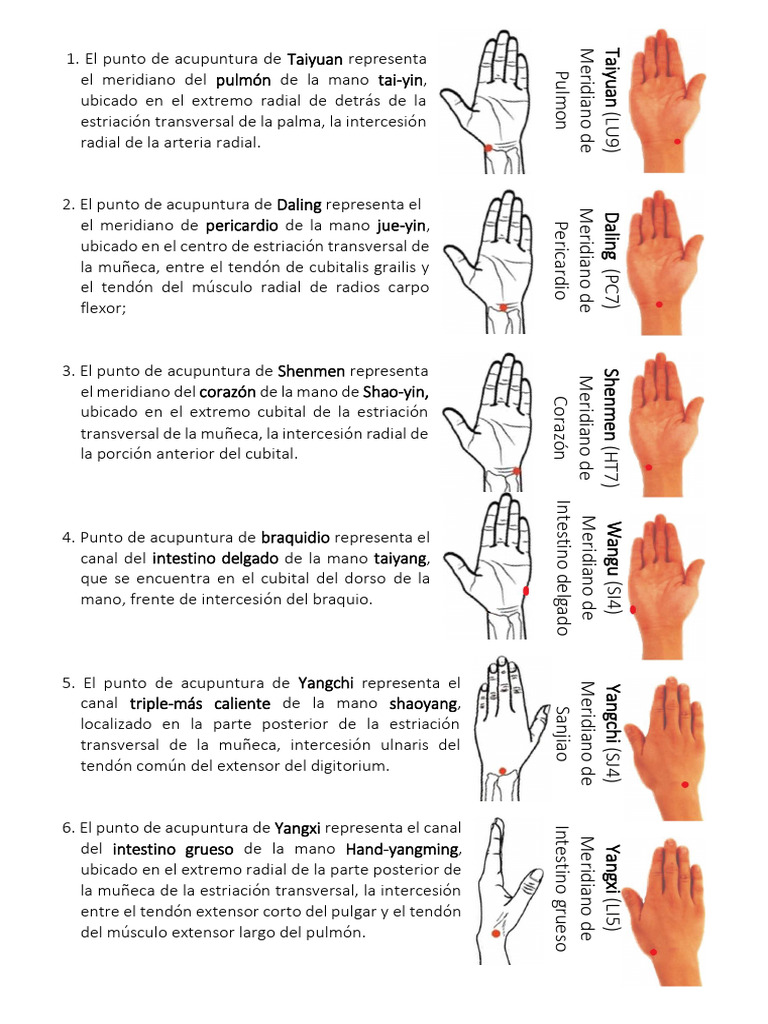 Tabla Guia Meridian Analizer | PDF | Mano | Pie