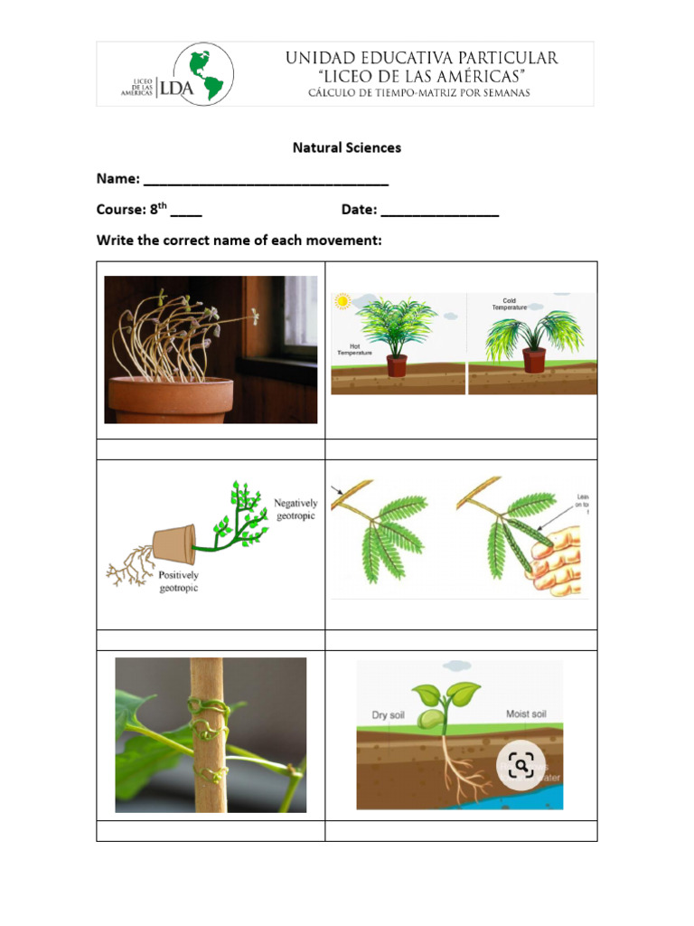 8th Movement Activity | PDF