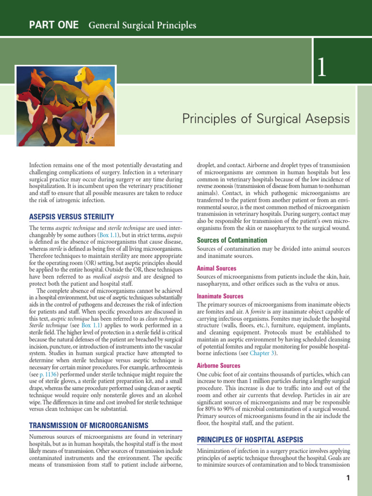 Principles of Surgical Asepsis | PDF | Surgery | Sterilization ...