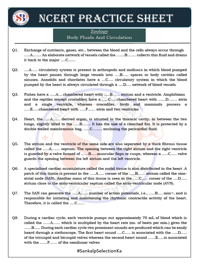 NCERT Practice Sheet Zoology 2 | PDF | Heart | Atrium (Heart)