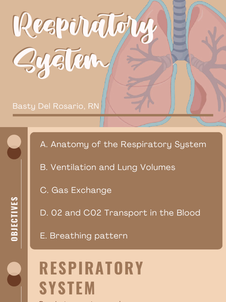 Module 5 Respiratory System | PDF | Respiratory Tract | Respiratory System