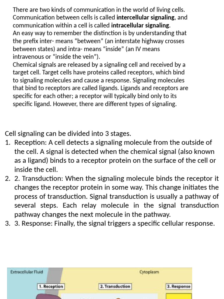 Unit4 | PDF | Cell Signaling | Signal Transduction