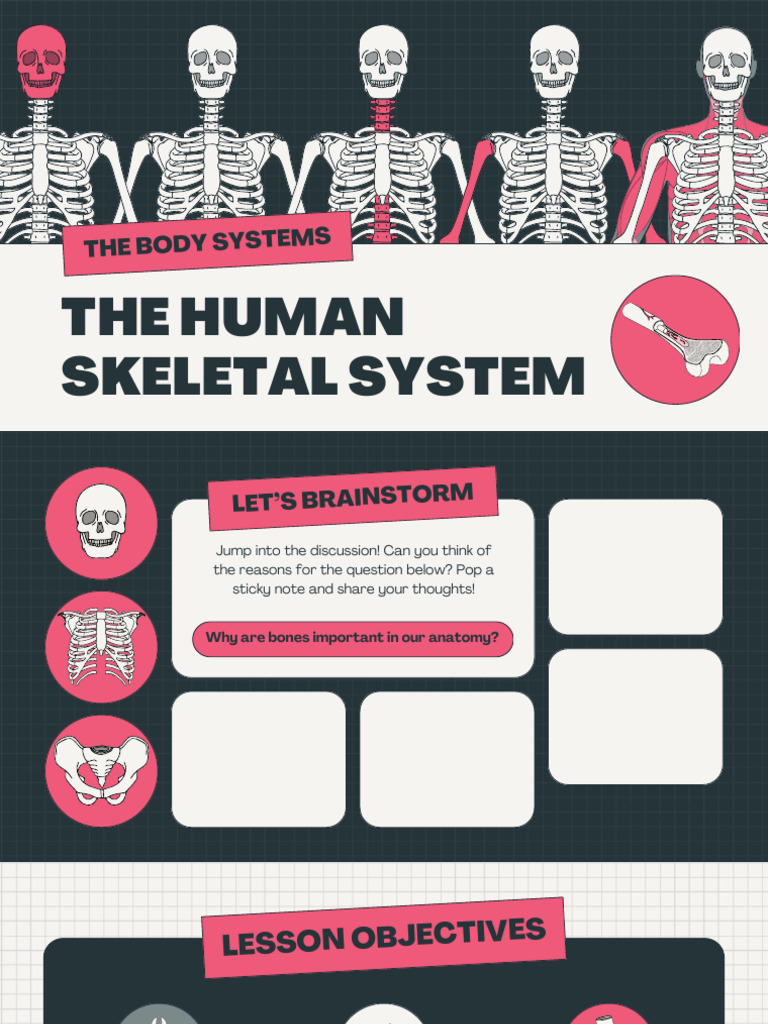 Overview of the Human Skeletal System | PDF | Pelvis | Hand