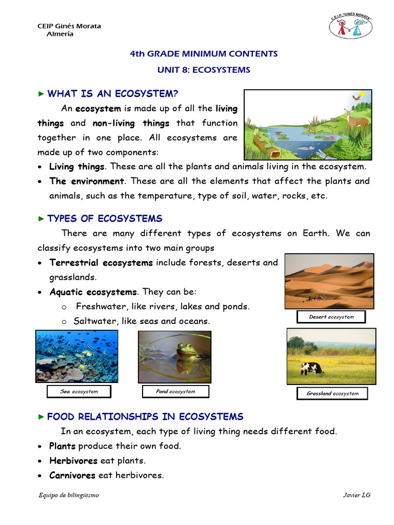 Ecosystems Worksheets | PDF | Ecosystem | Foods
