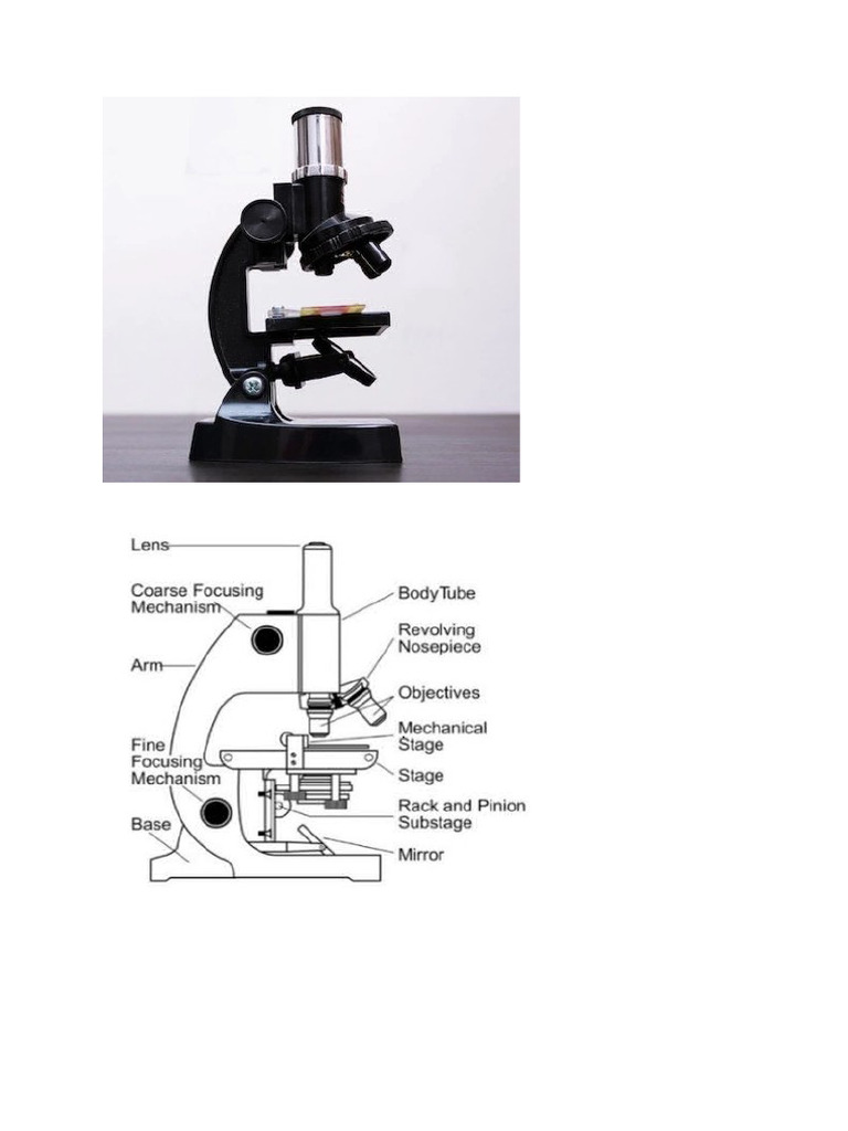 Levi Ackerman !!@# | PDF