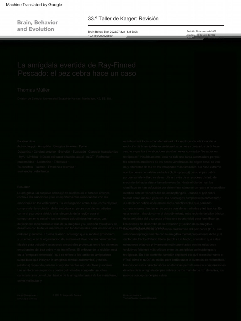 Mueller 2022 The Everted Amygdala of Ray-Finned Fish - Zebrafish Makes ...