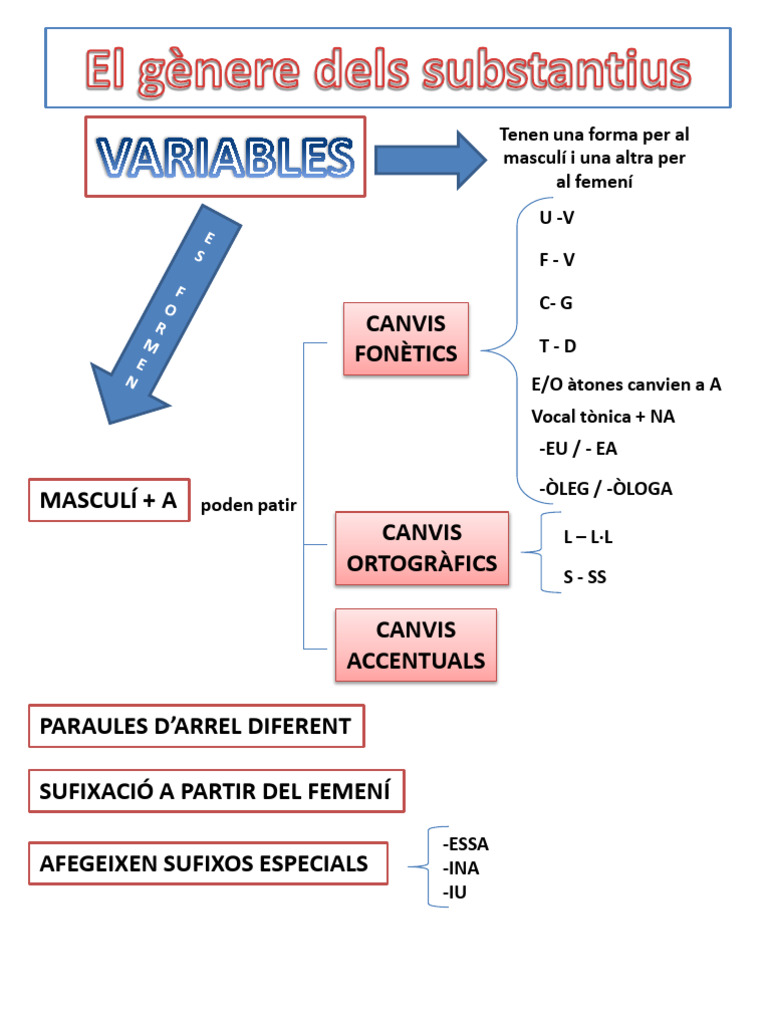 El Gènere Dels Substantius | PDF