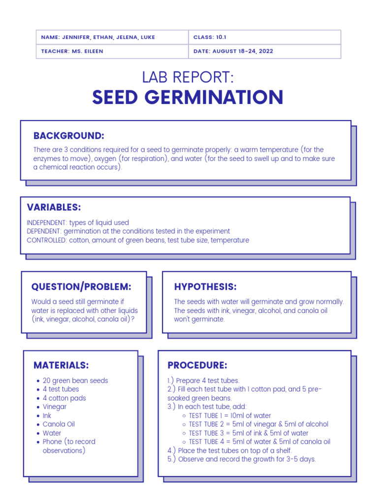 Biology Seed Germination Report | PDF | Seed | Water