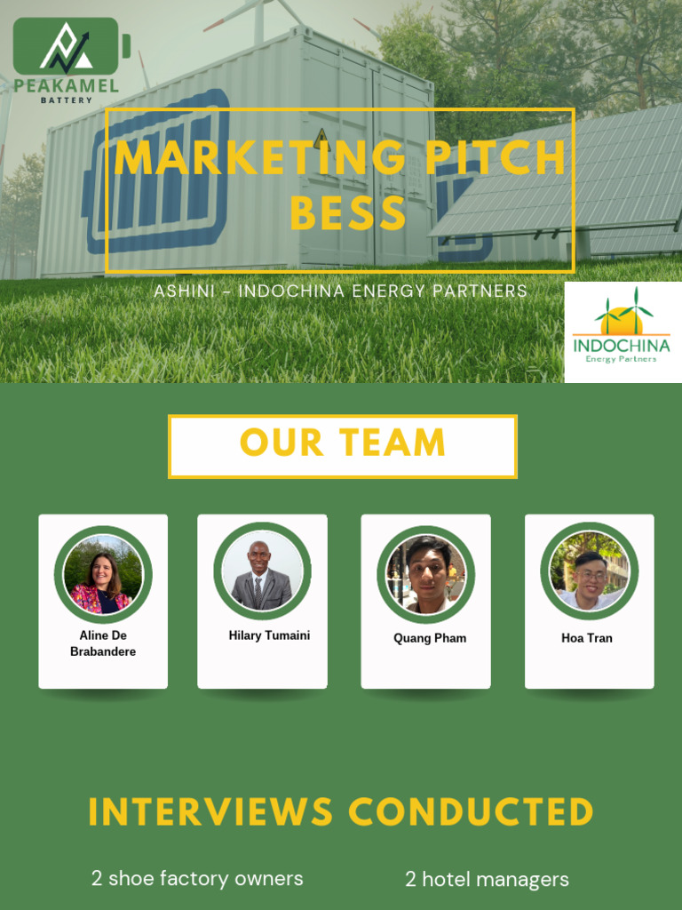 Ashini Marketing Pitch | PDF | Marketing | Economies