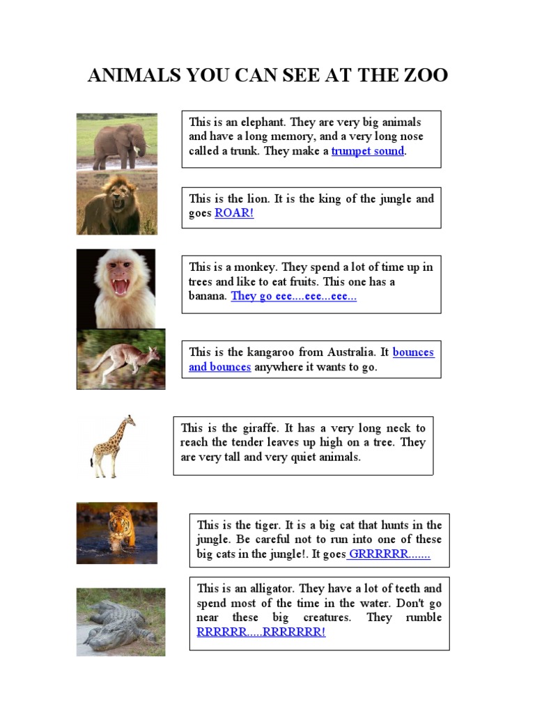 Zoo Animals for Young Learners | PDF | Elephant | Noun