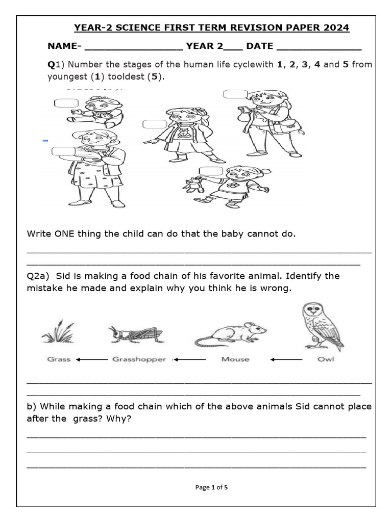 Year 2 Science Revision Paper | PDF | Ecology