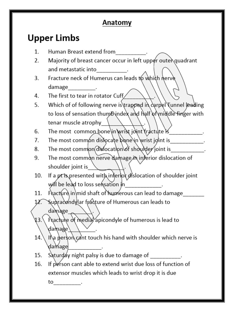 Anatomy Upper LImb | PDF | Arm | Limbs (Anatomy)