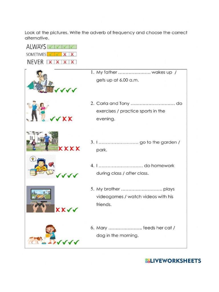 Always Sometimes Never | PDF