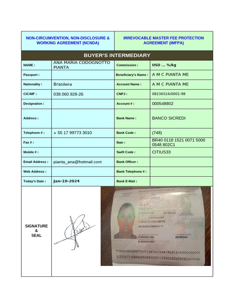 CIS - Modelo - ICC - 2024 (1) Ana | PDF