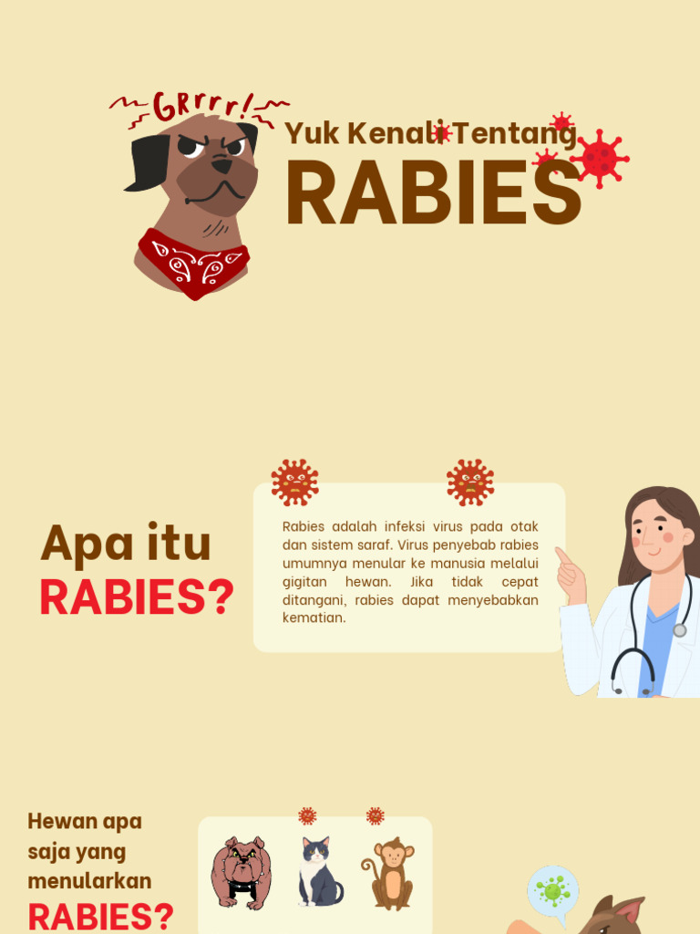 Rabies | PDF