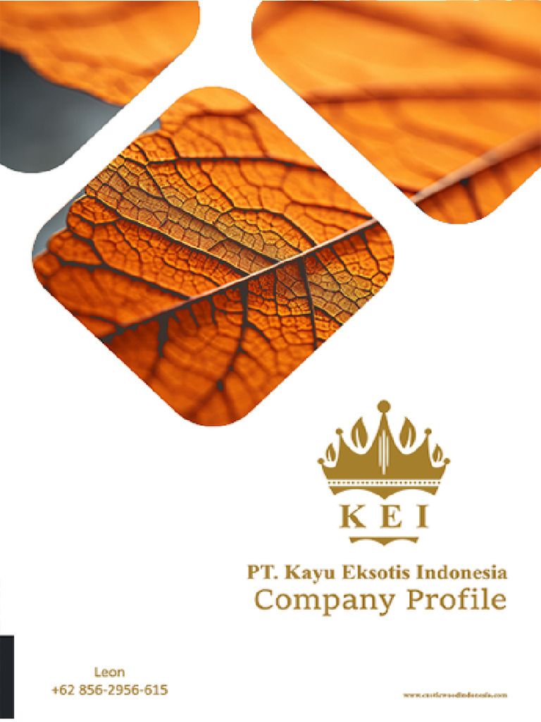 Company 2024 Rev1 | PDF