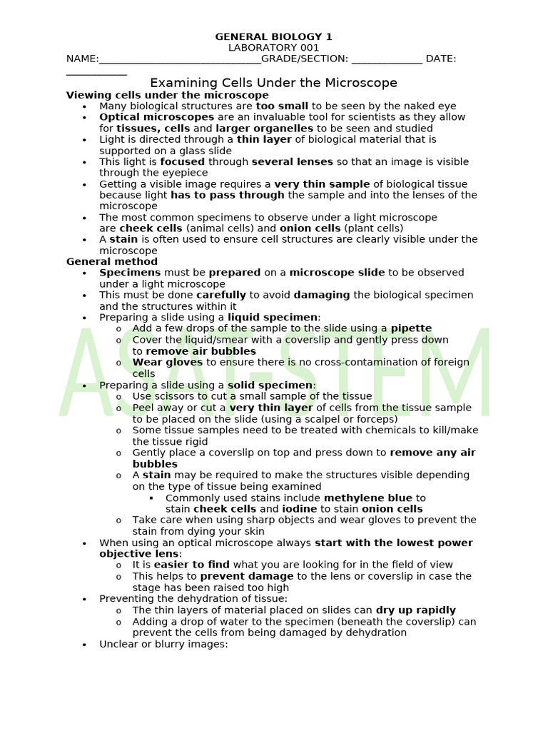 Bio Experiment | PDF | Microscope | Staining
