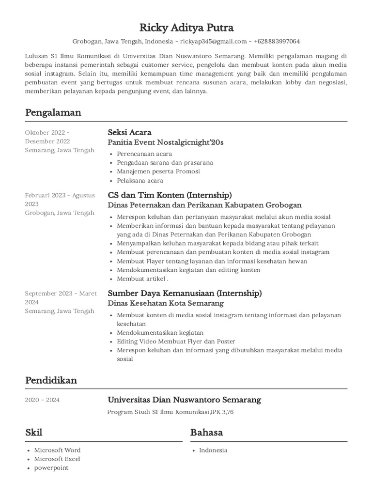 CV Ricky Aditya Putra-Rs | PDF | Karier & Perkembangan | Komputer